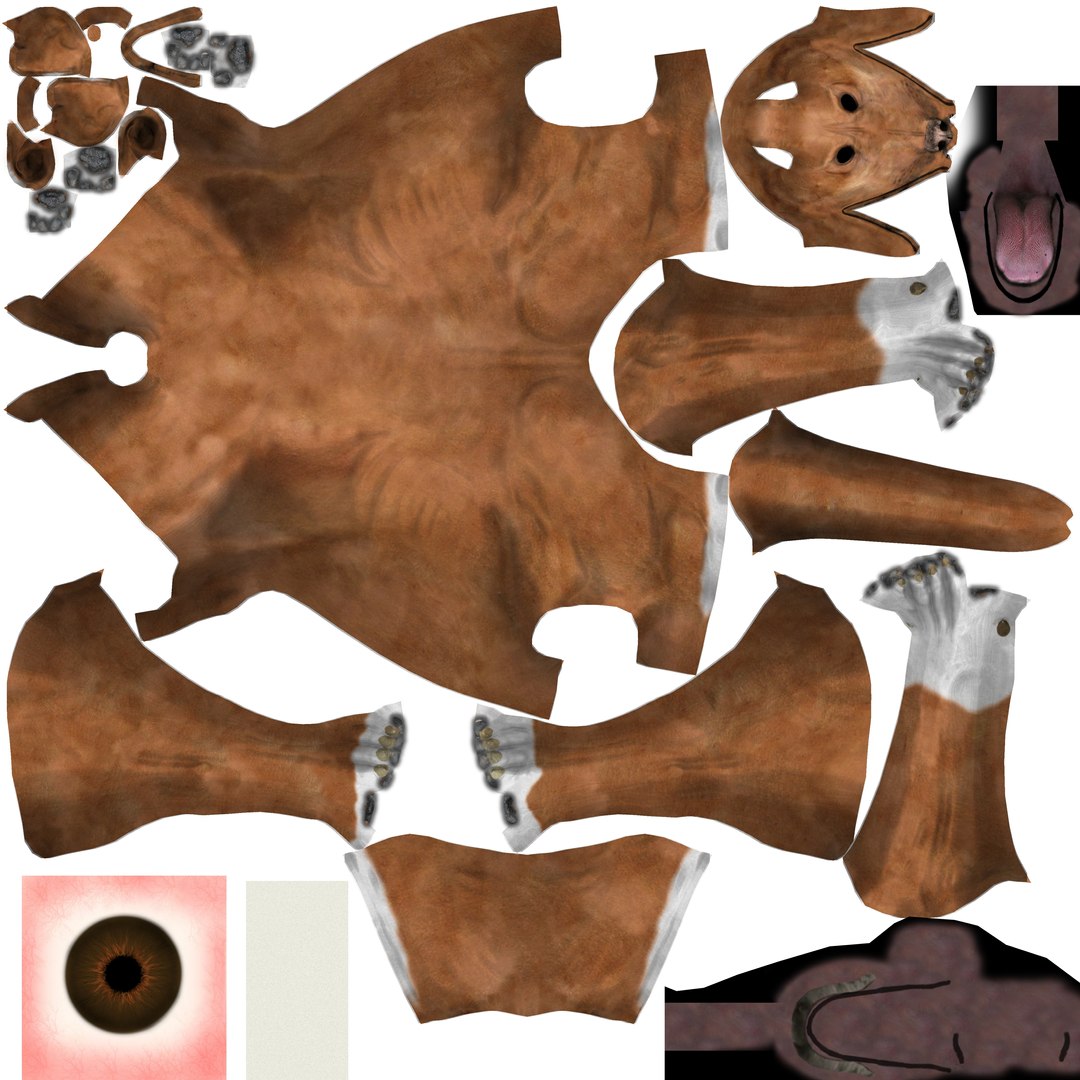 DOG MEGA PACK model - TurboSquid 2080249