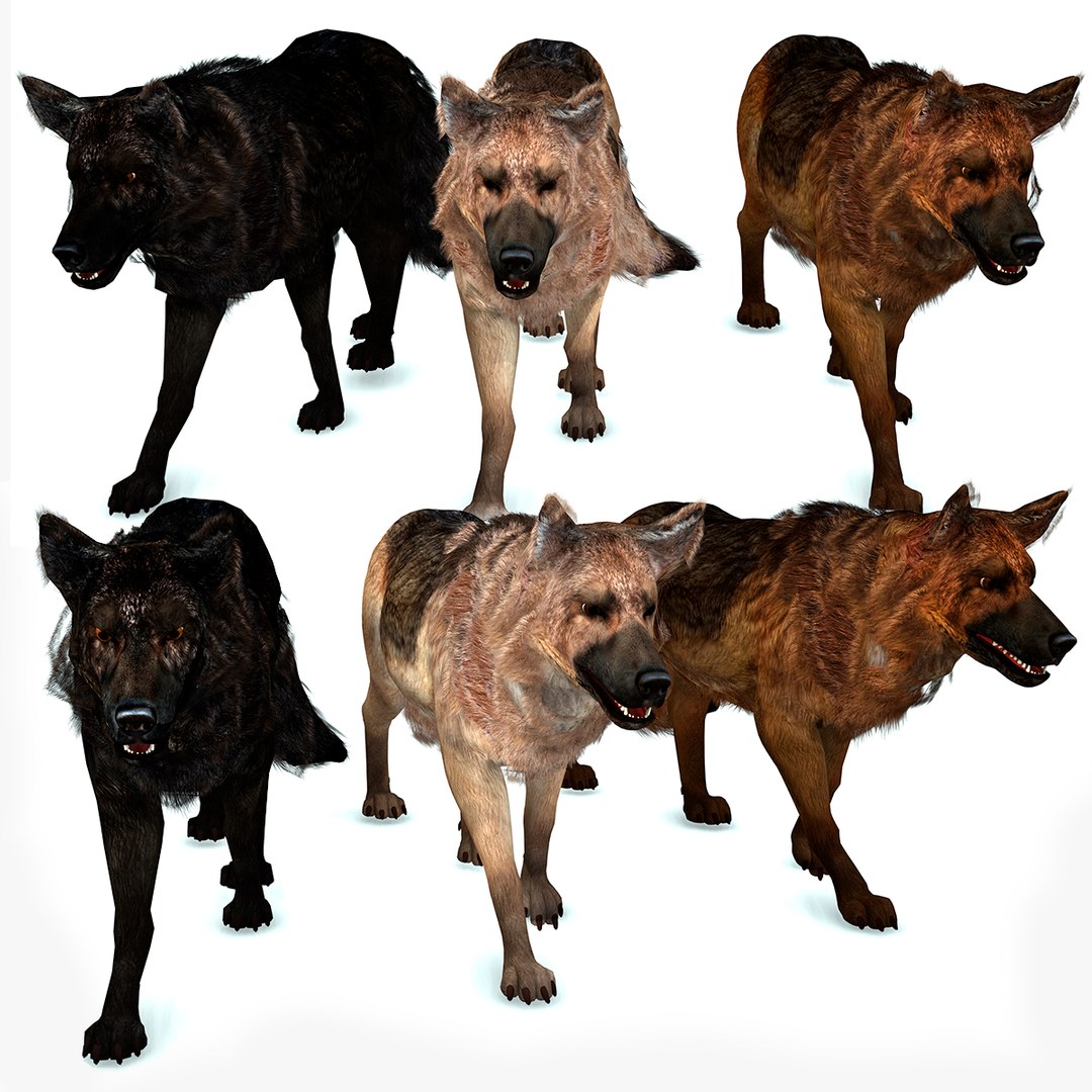 DOG MEGA PACK model - TurboSquid 2080249