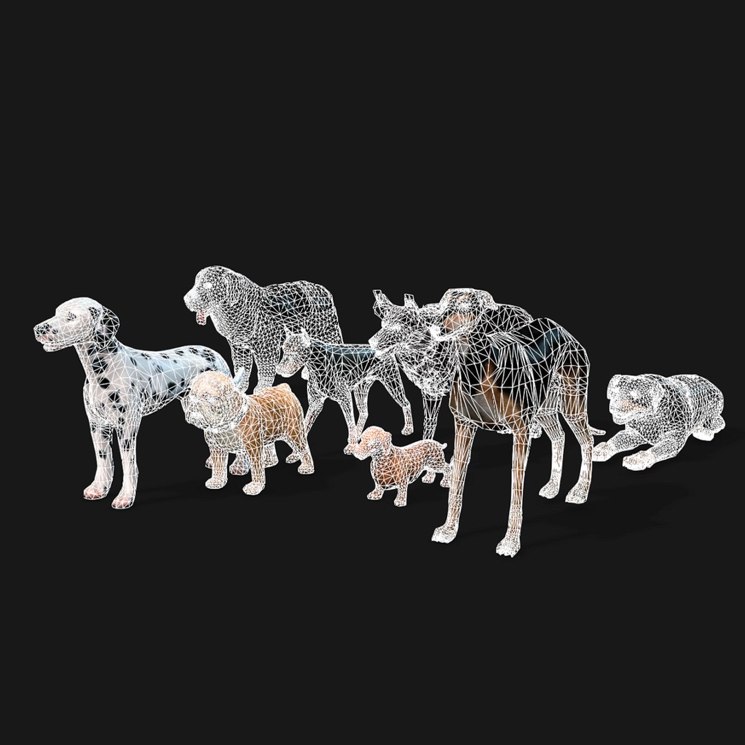 DOG MEGA PACK model - TurboSquid 2080249
