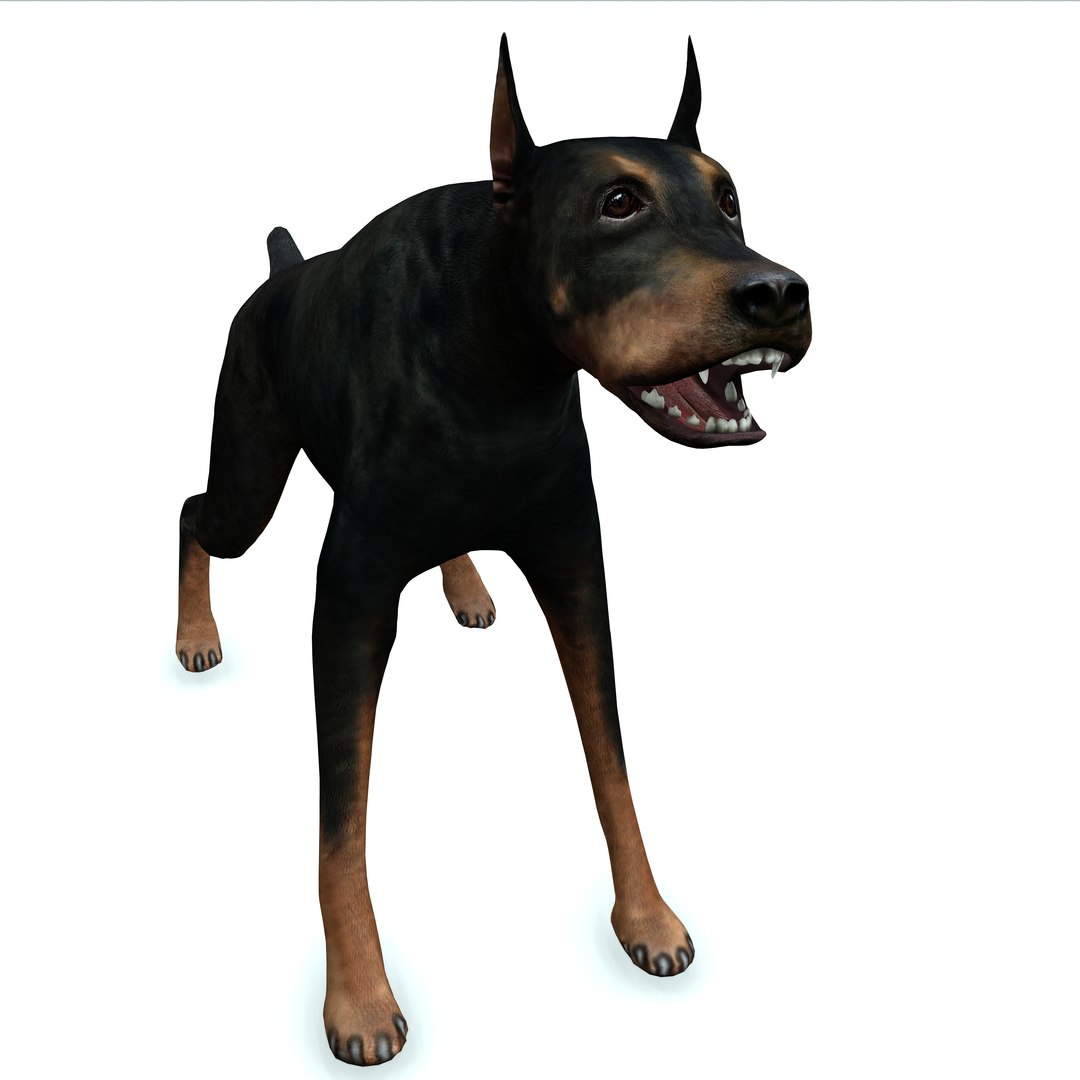 DOG MEGA PACK model - TurboSquid 2080249