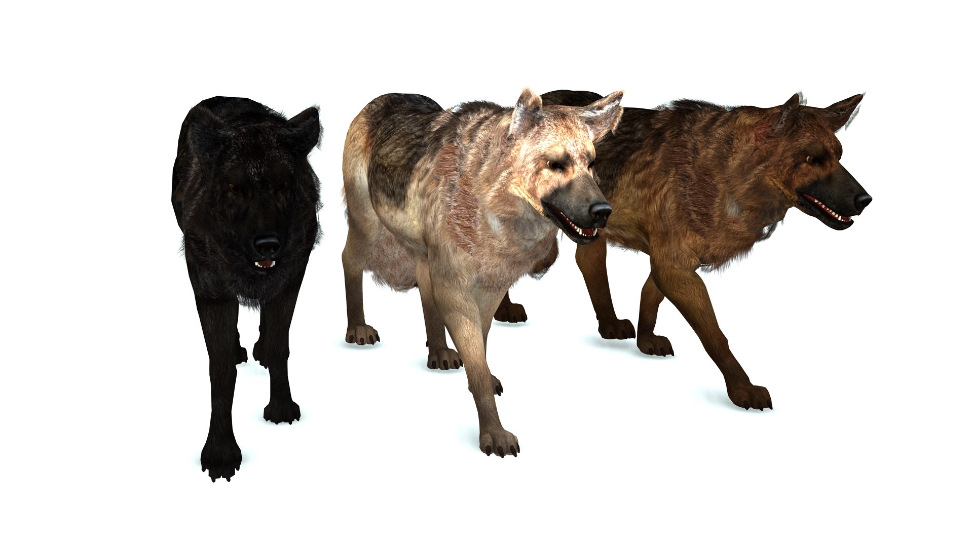 DOG MEGA PACK model - TurboSquid 2080249