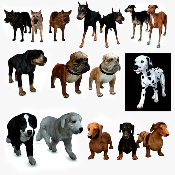 Free 3D Animal-Rottweiler Models | TurboSquid