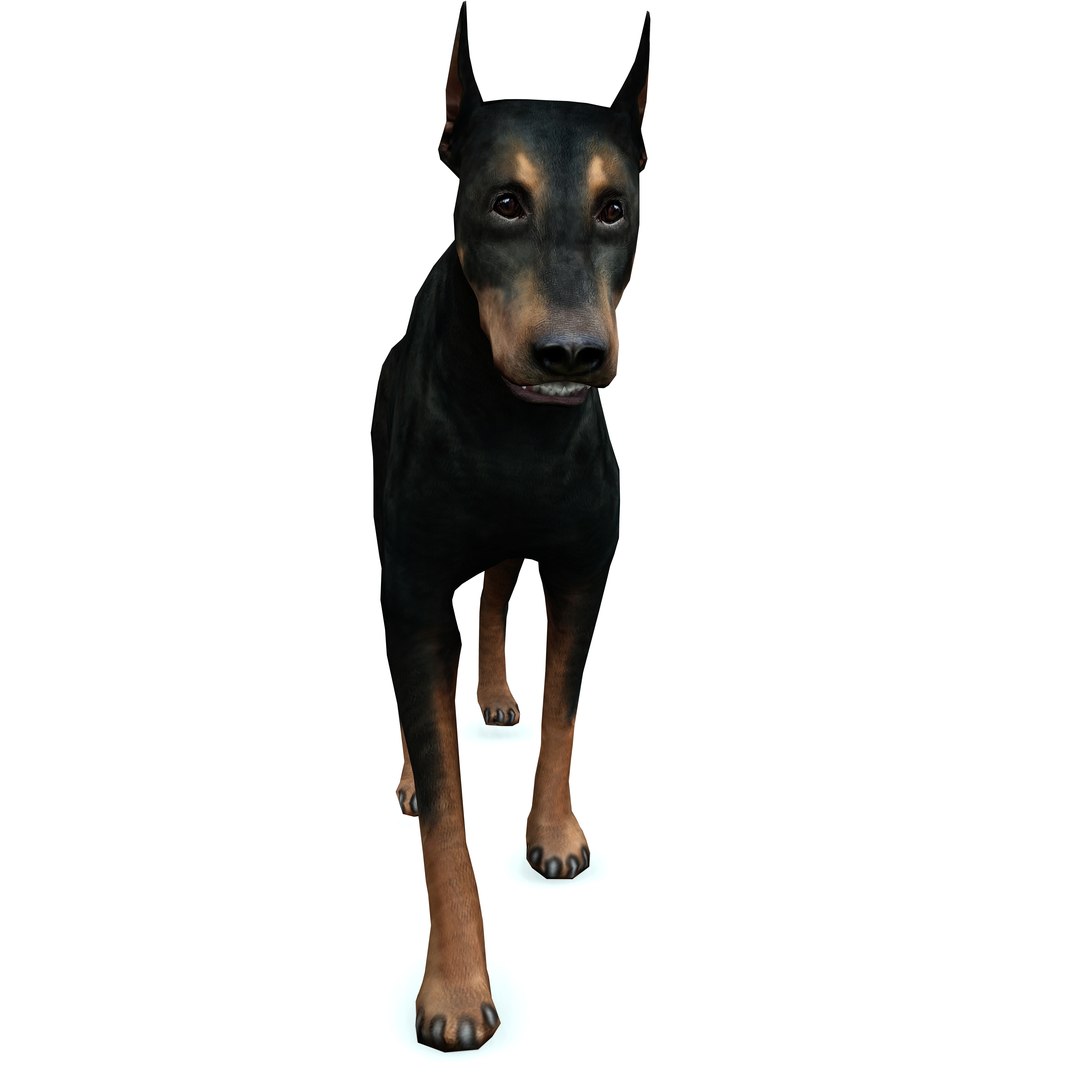 DOG MEGA PACK model - TurboSquid 2080249