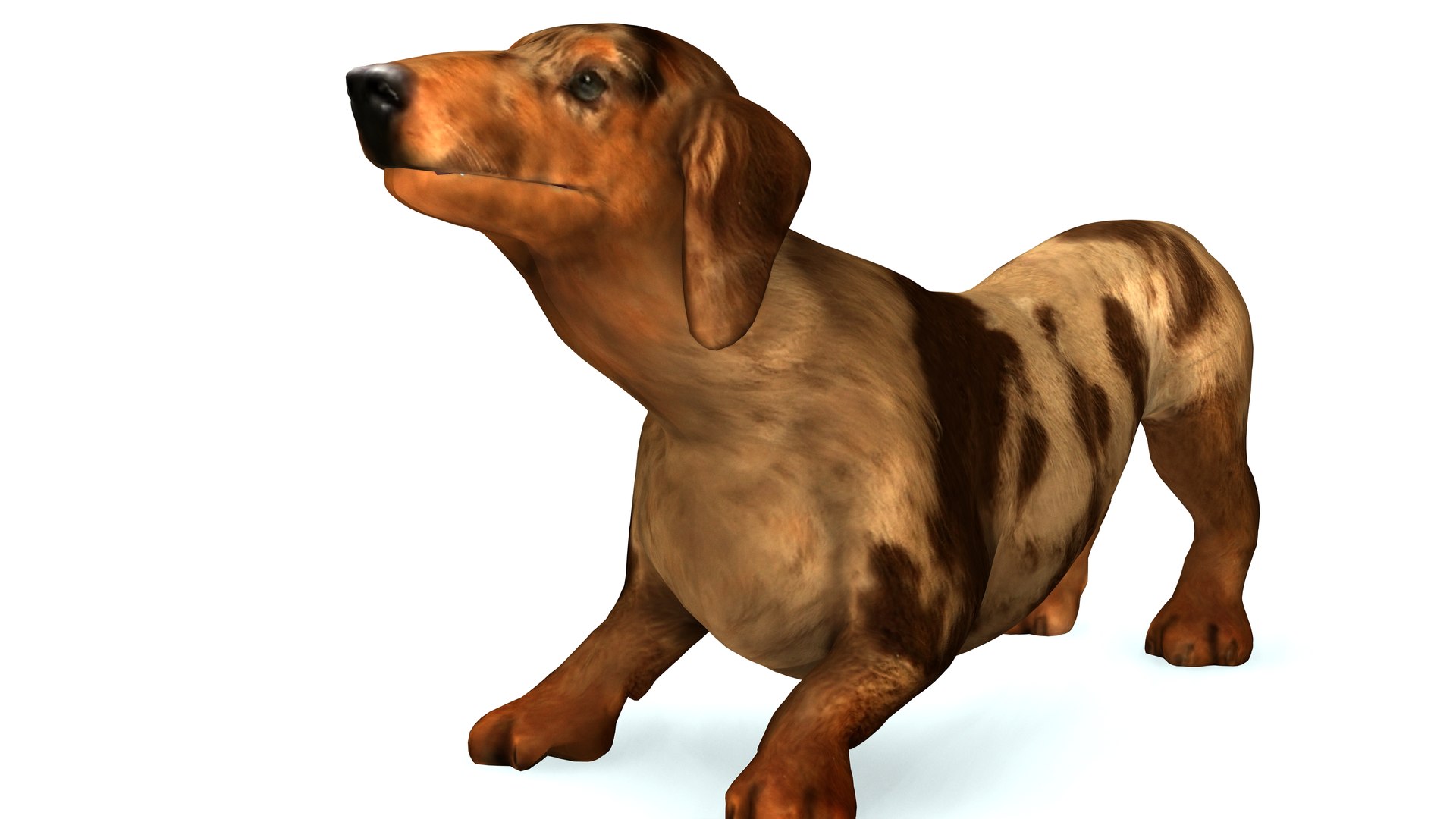DOG MEGA PACK model - TurboSquid 2080249
