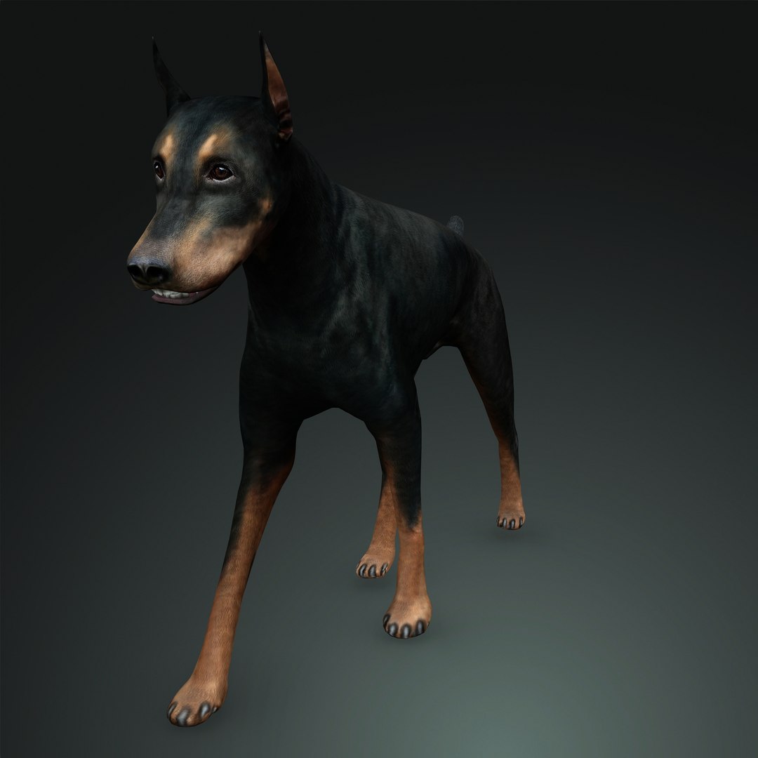 DOG MEGA PACK model - TurboSquid 2080249