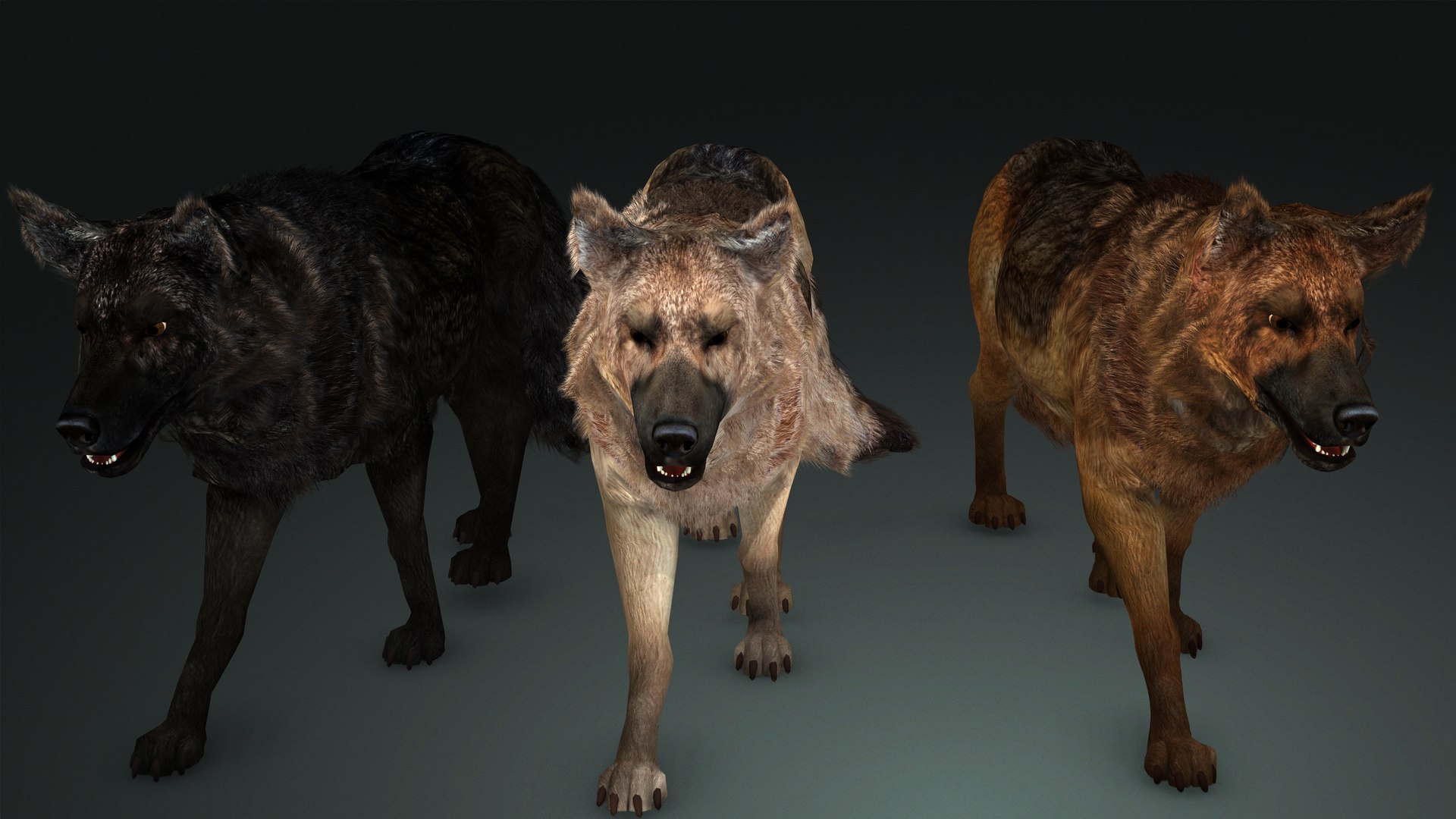 DOG MEGA PACK model - TurboSquid 2080249