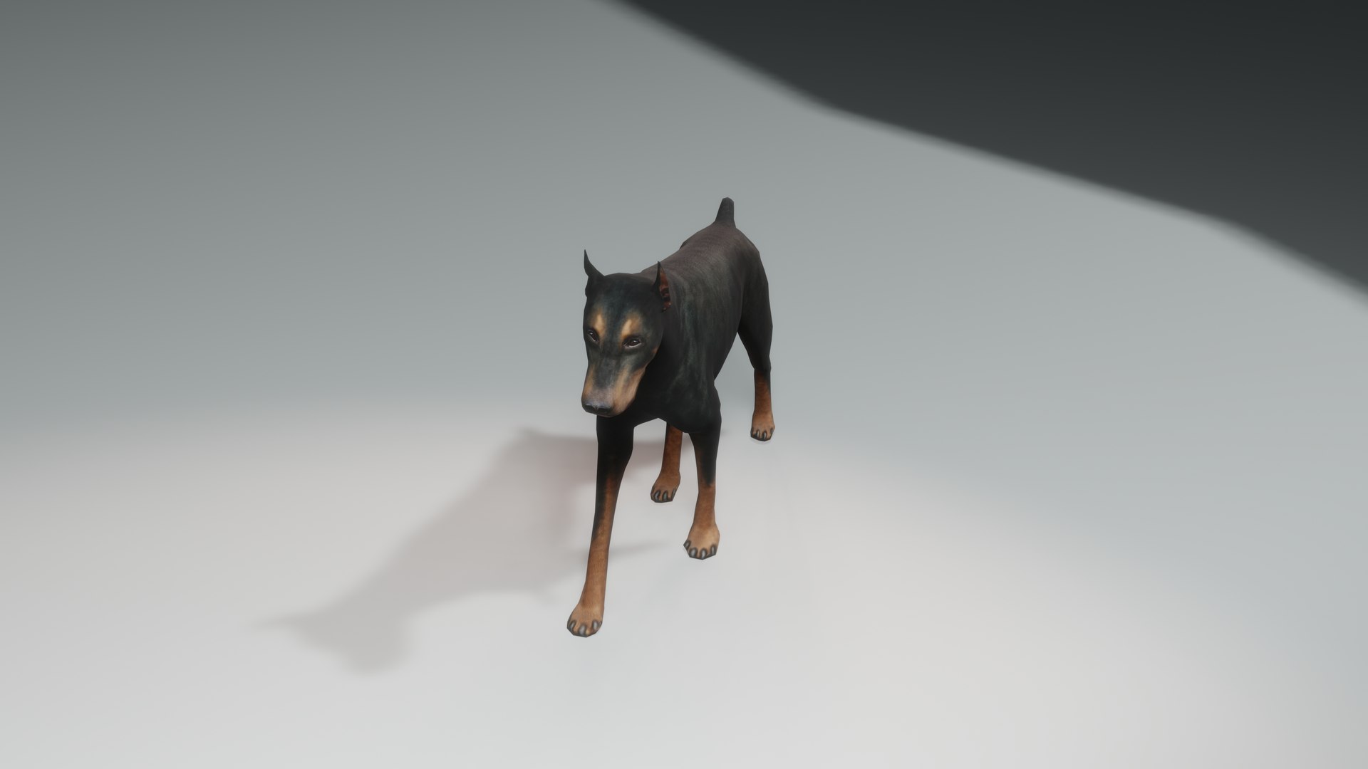 DOG MEGA PACK model - TurboSquid 2080249