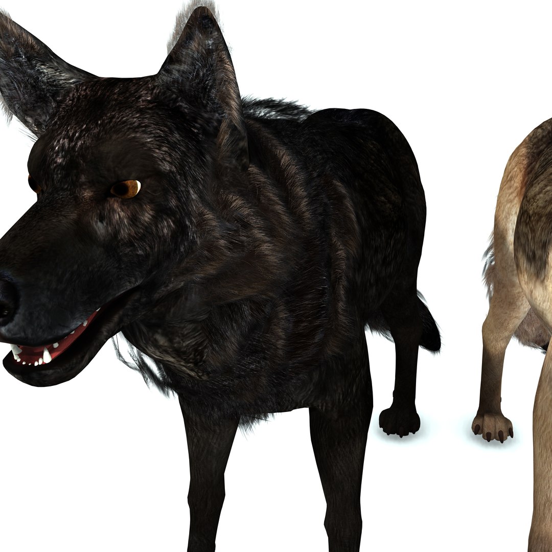 DOG MEGA PACK model - TurboSquid 2080249