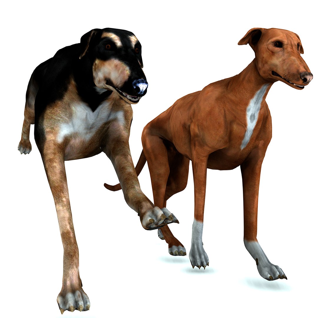 DOG MEGA PACK model - TurboSquid 2080249