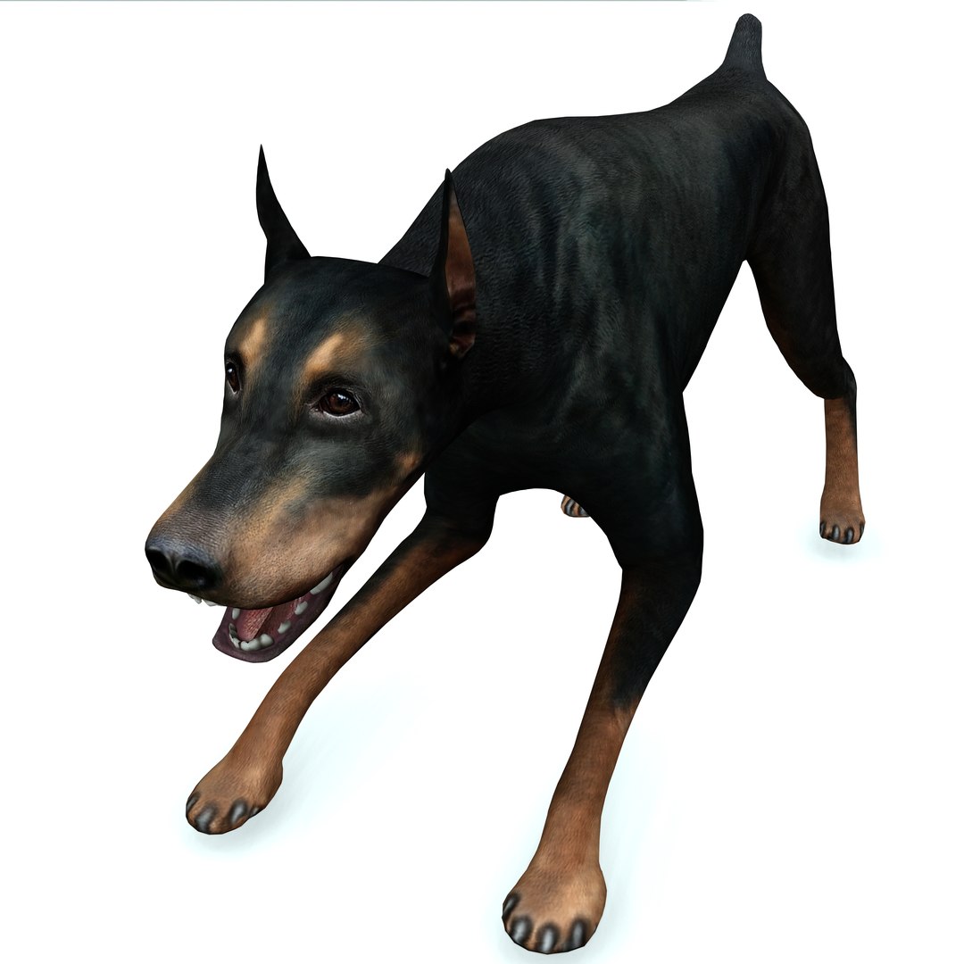 DOG MEGA PACK model - TurboSquid 2080249