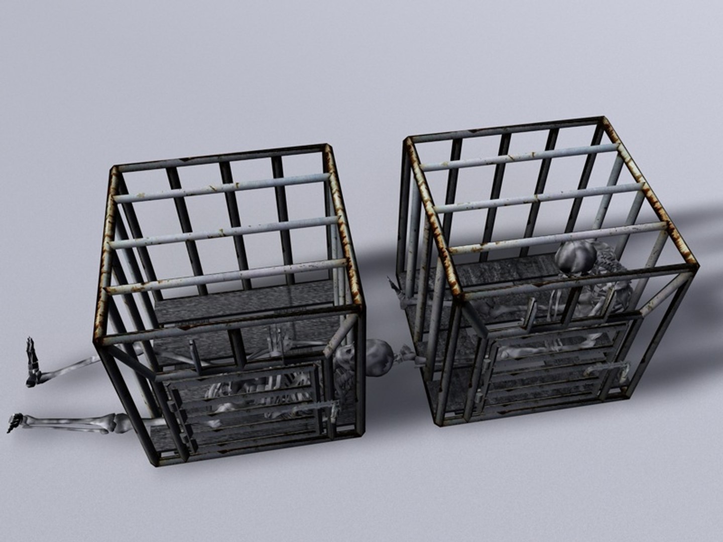 3d model cage