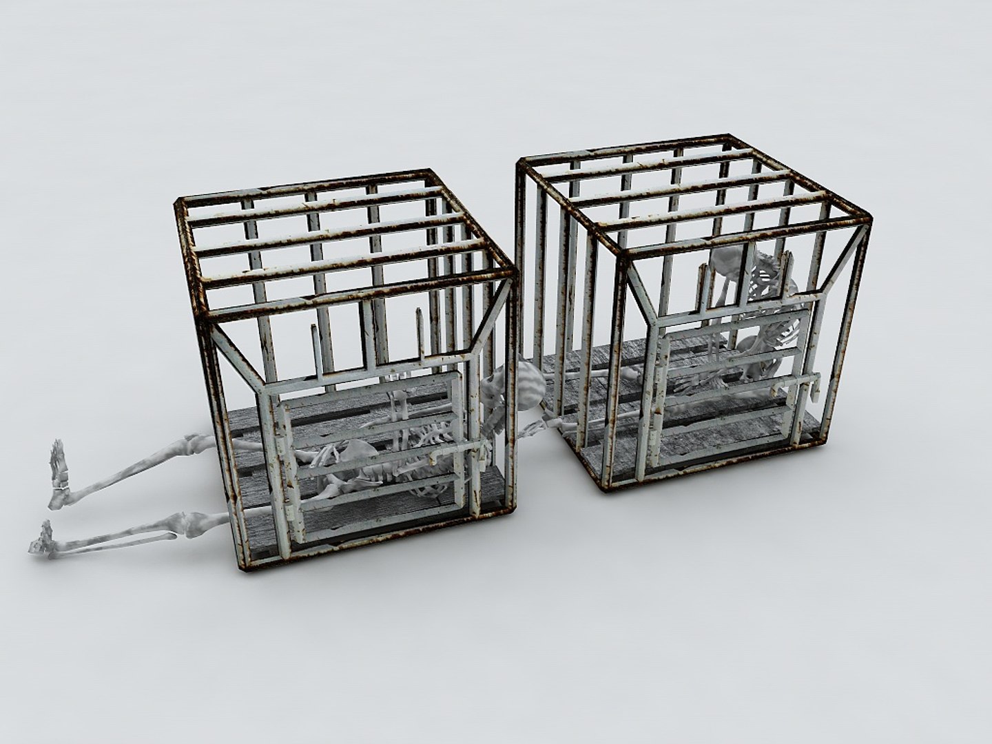 3d model cage