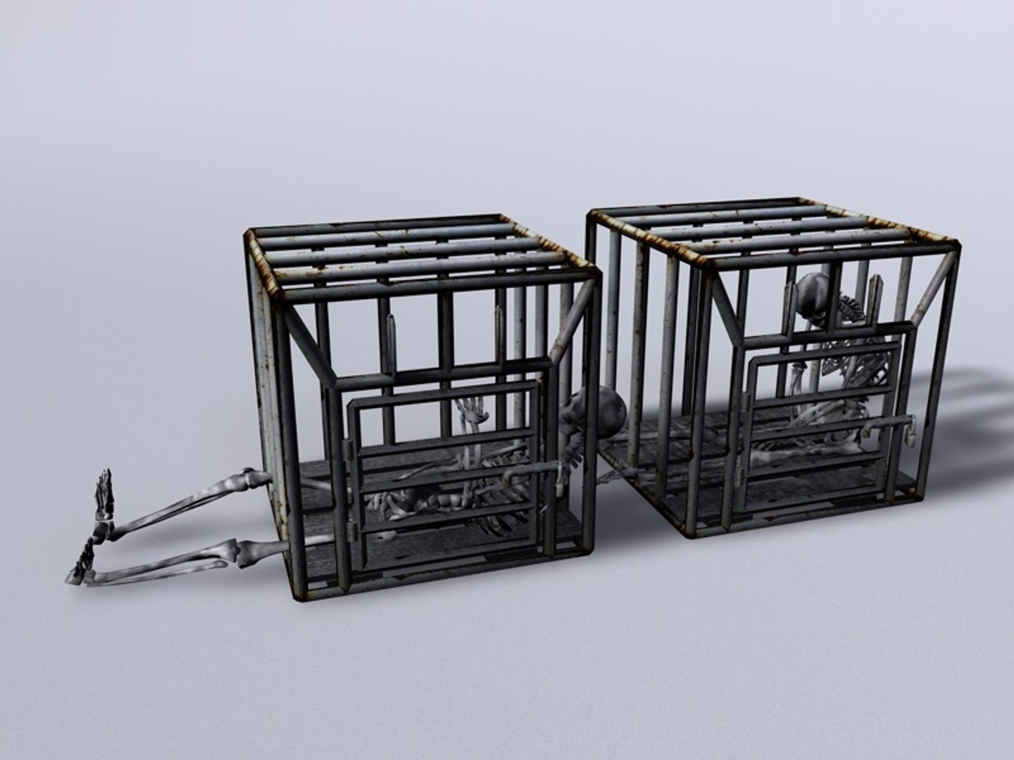 3d model cage