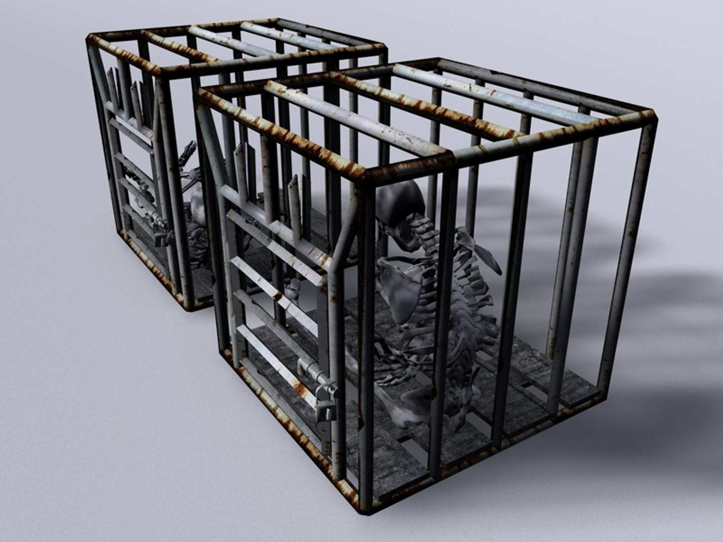 3d model cage