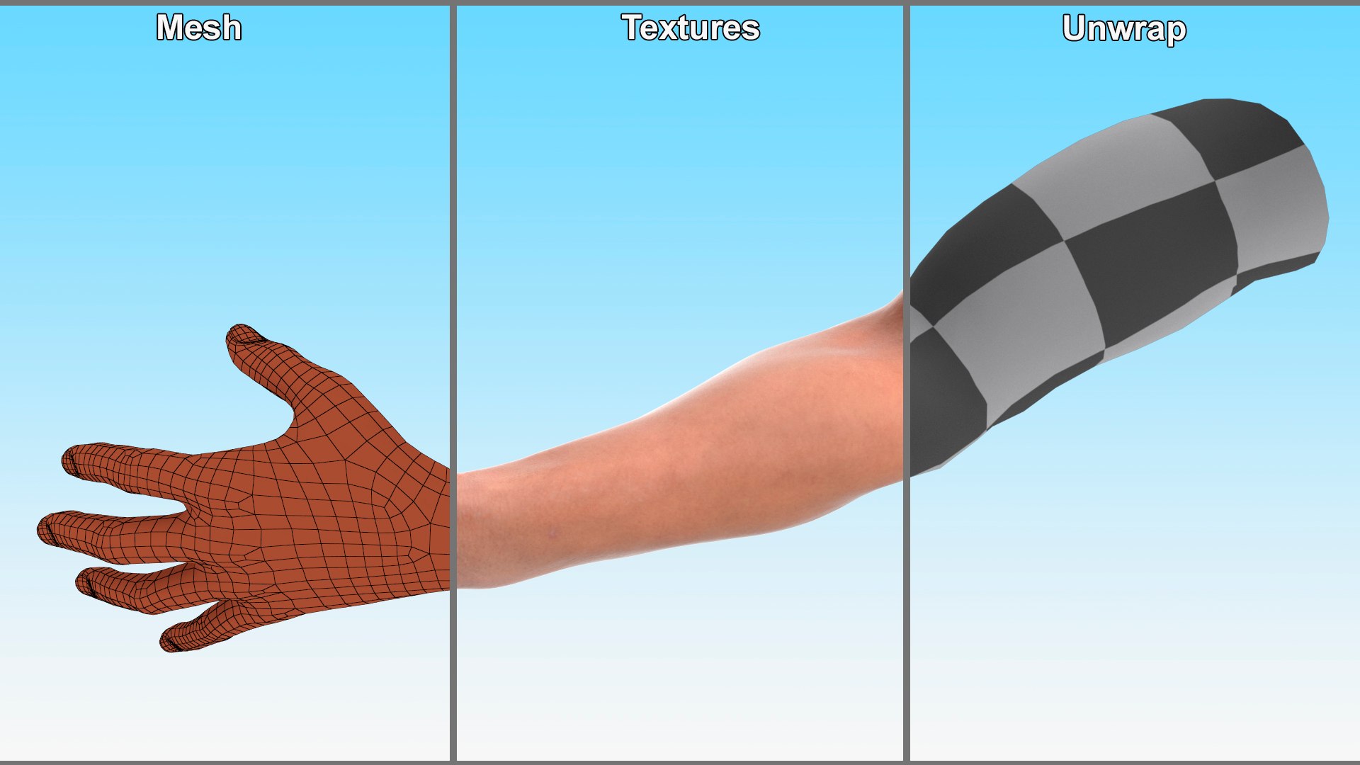 Athletic Male Arm 3D Model - TurboSquid 2279682