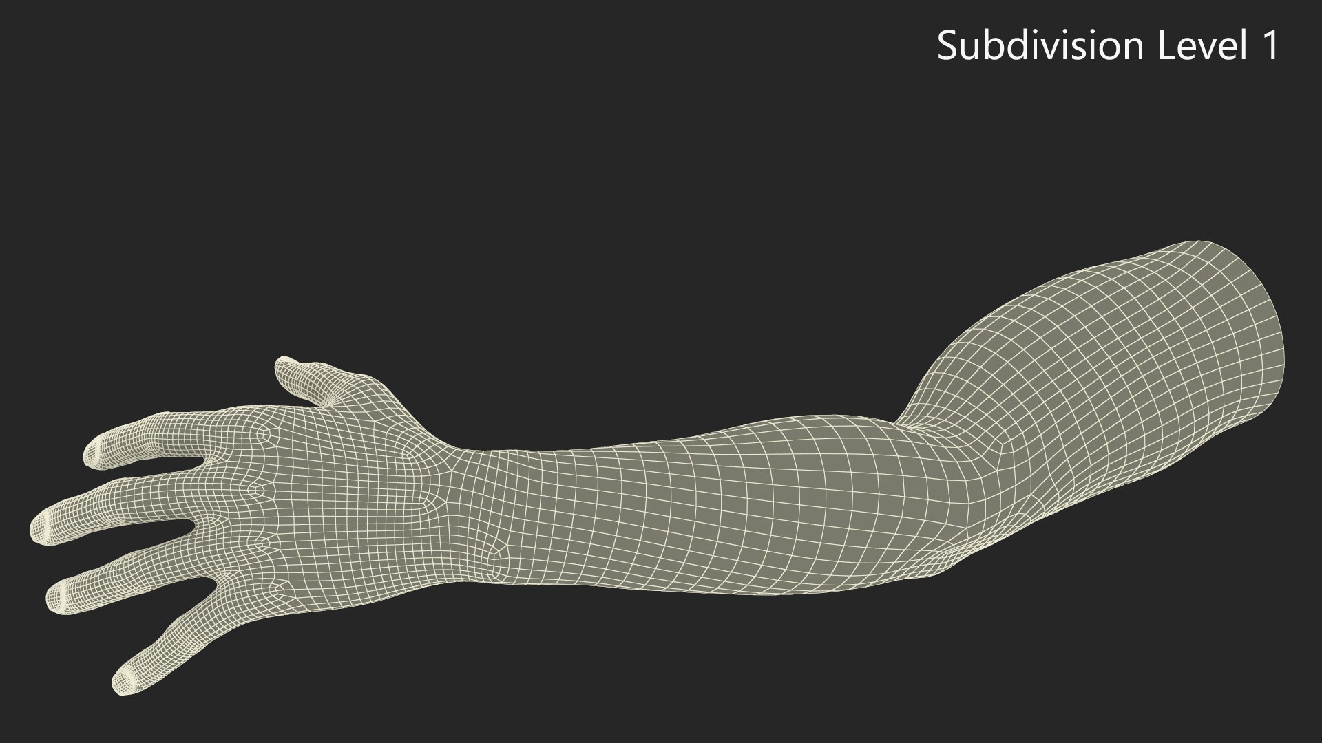 Athletic Male Arm 3D Model - TurboSquid 2279682