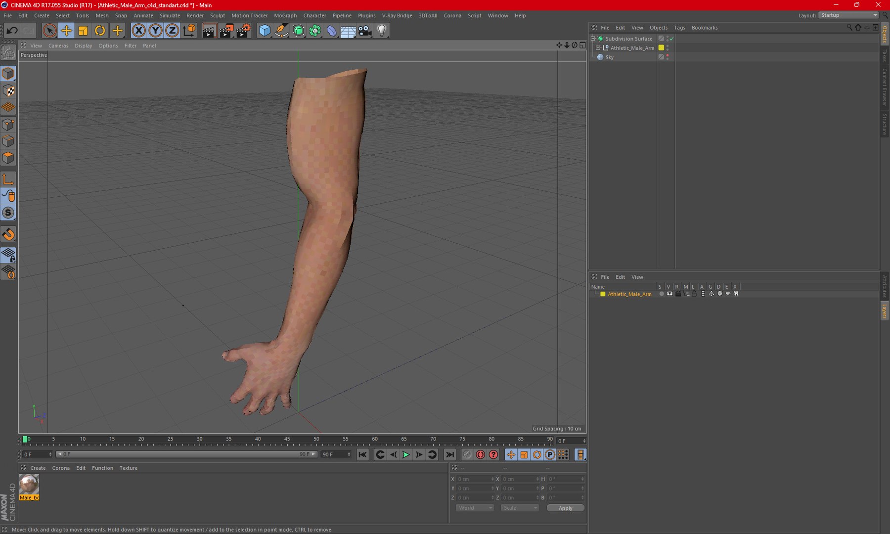 Athletic Male Arm 3D Model - TurboSquid 2279682