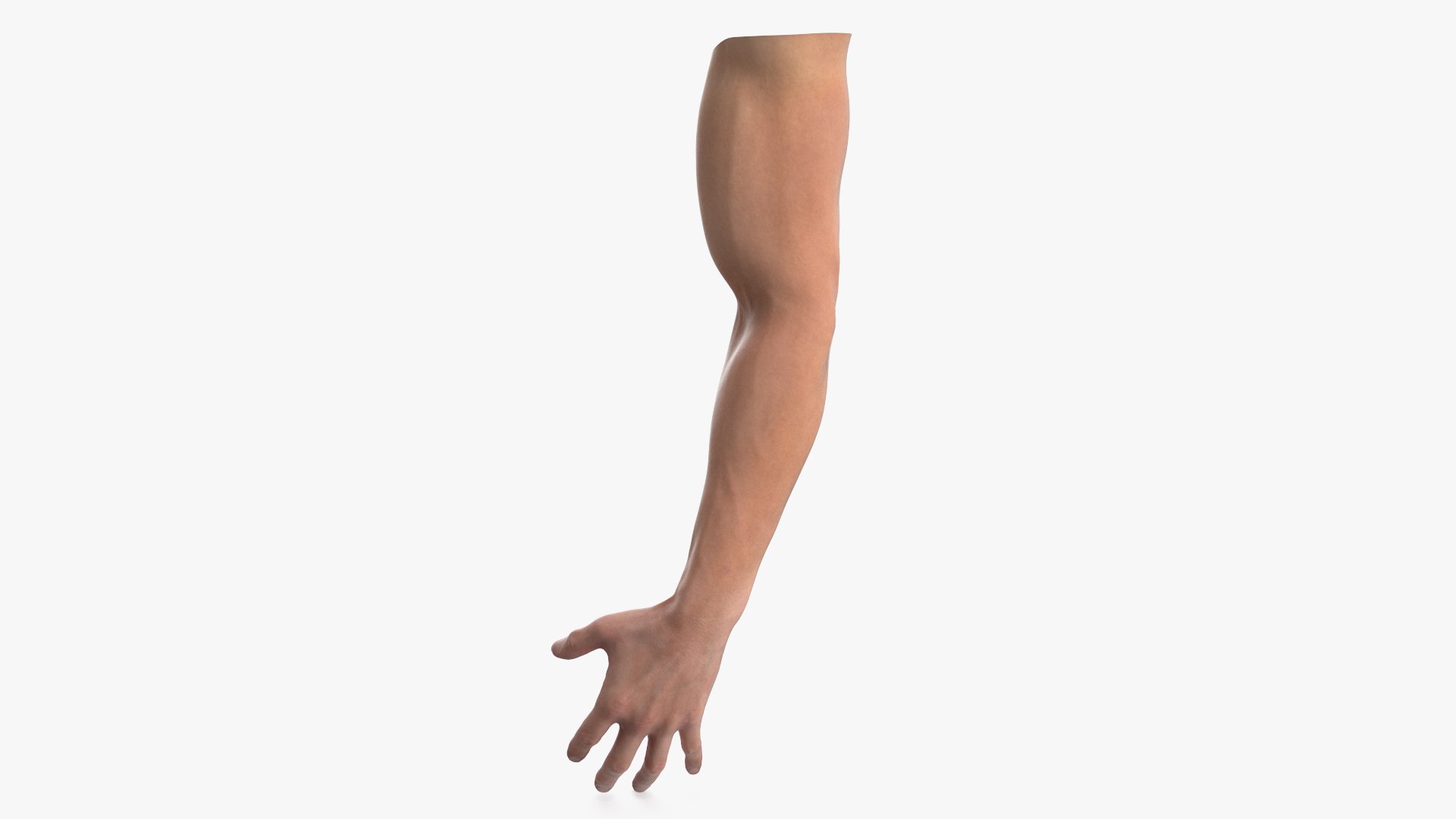 Athletic Male Arm 3D Model - TurboSquid 2279682