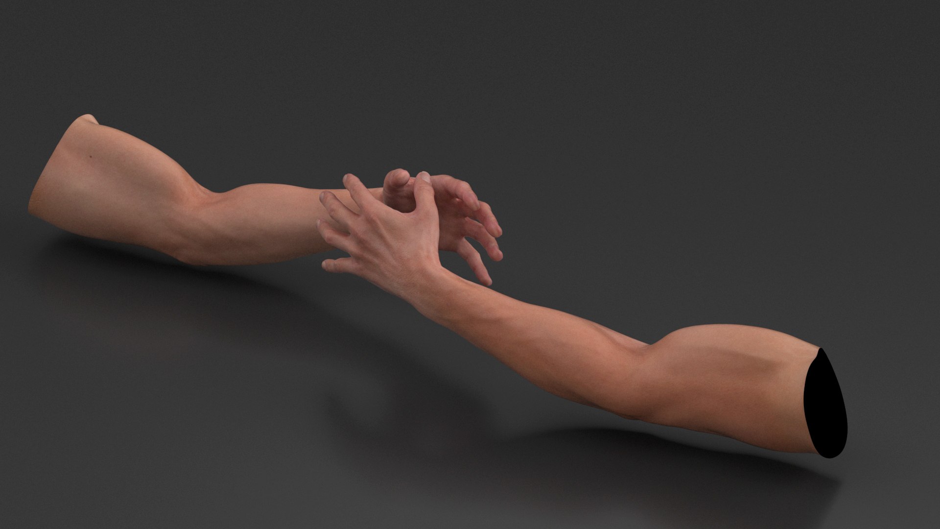 Athletic Male Arm 3D Model - TurboSquid 2279682