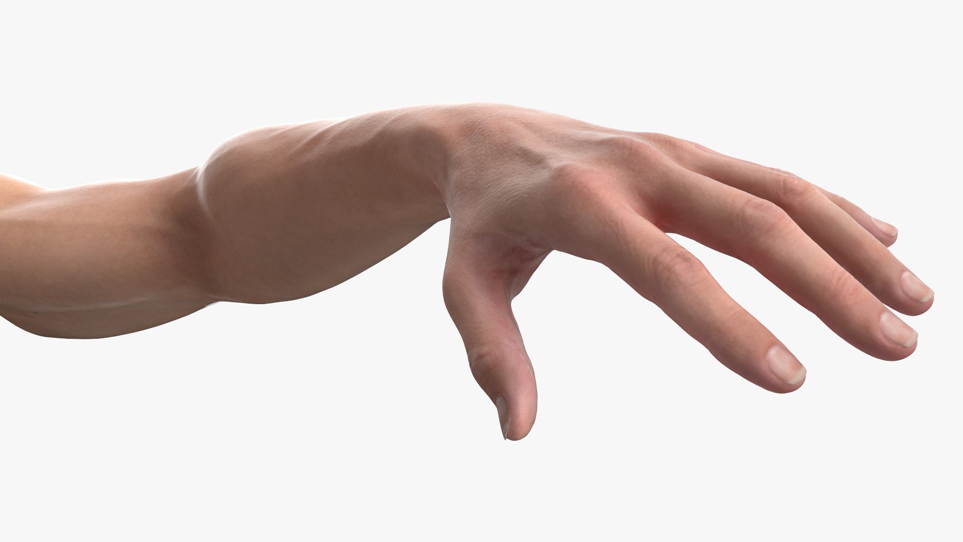 Athletic Male Arm 3D Model - TurboSquid 2279682