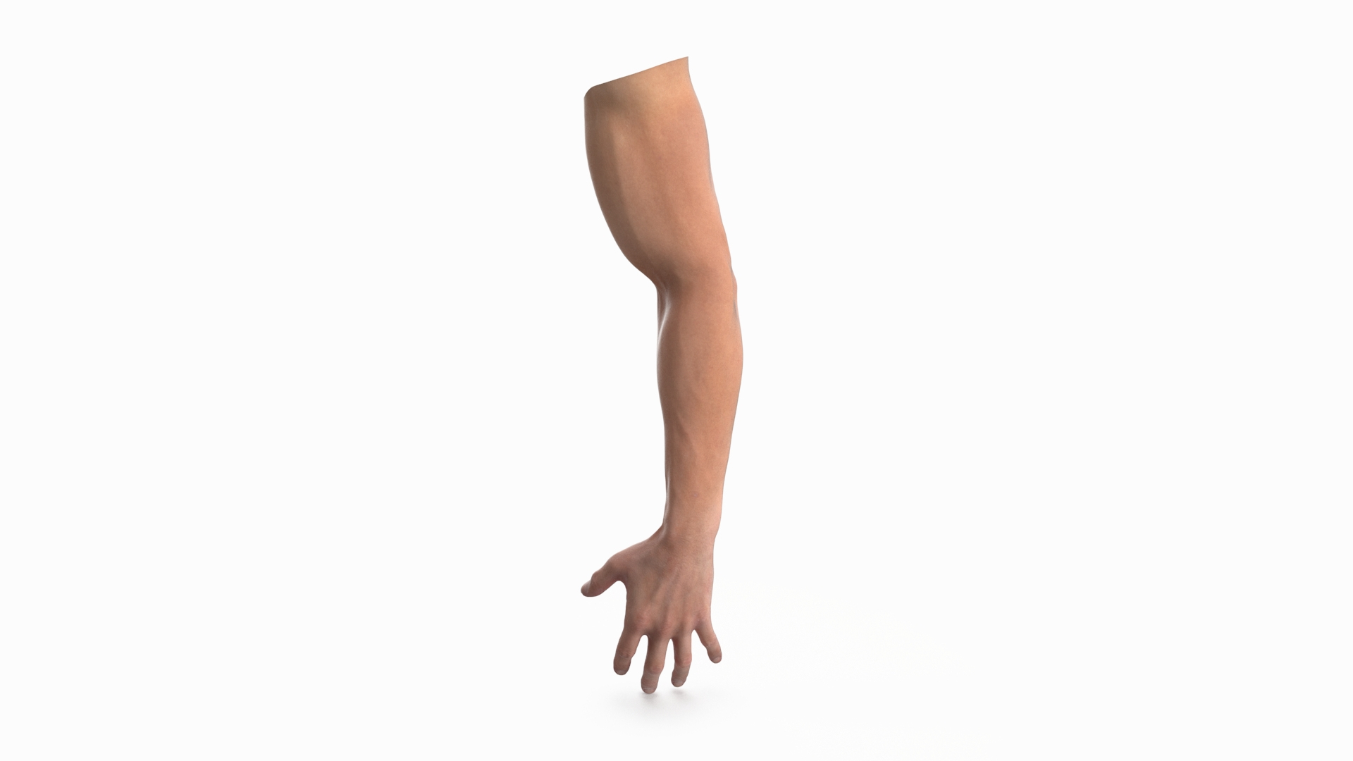 Athletic Male Arm 3D Model - TurboSquid 2279682