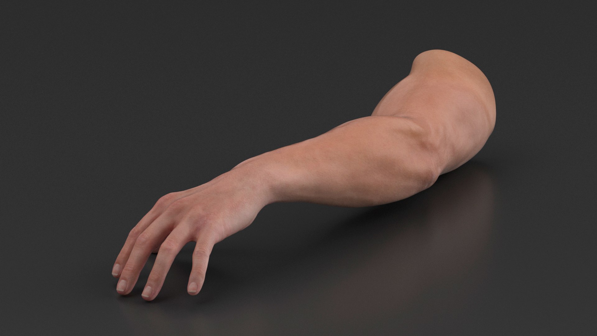 Athletic Male Arm 3D Model - TurboSquid 2279682