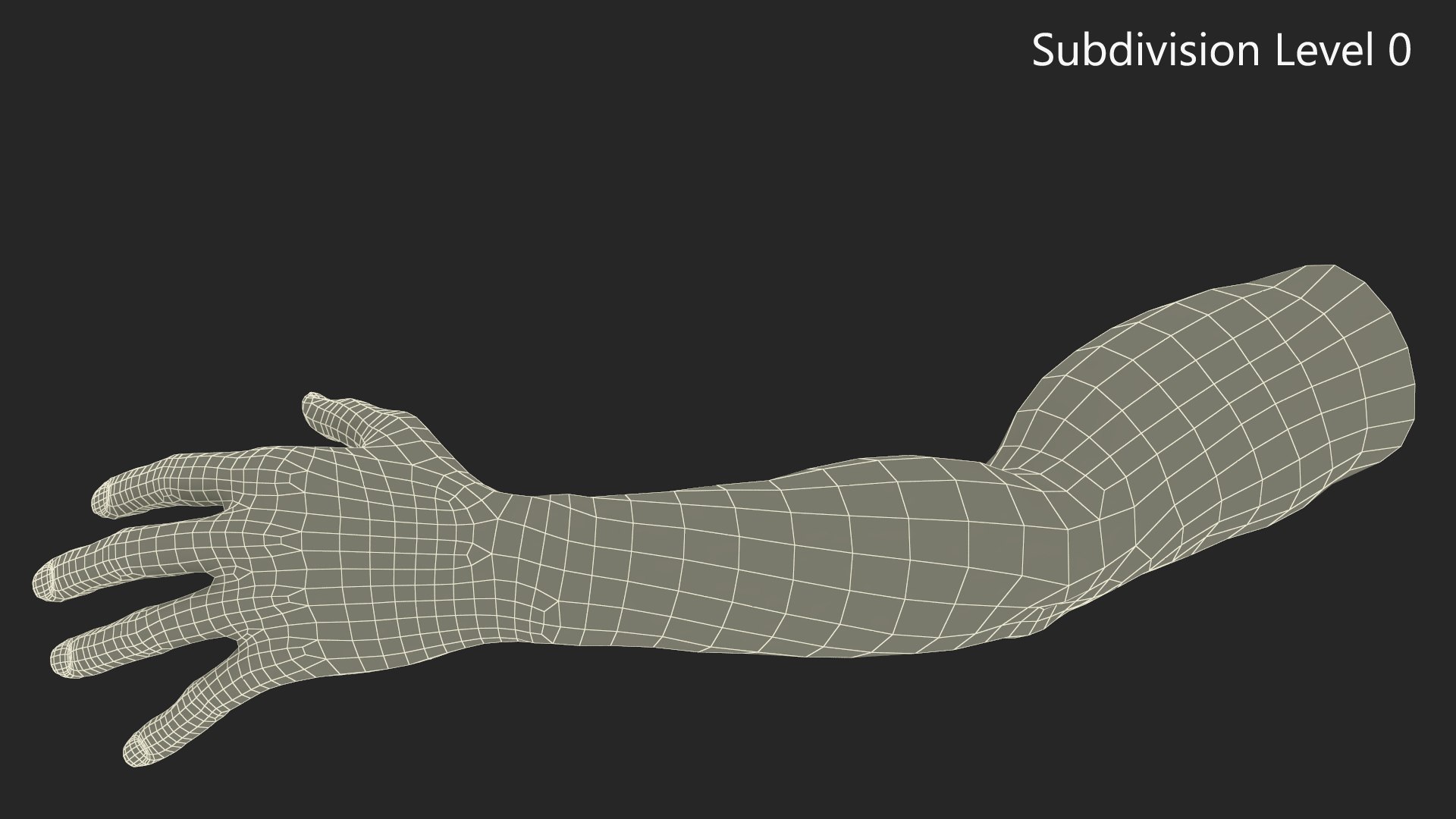 Athletic Male Arm 3D Model - TurboSquid 2279682