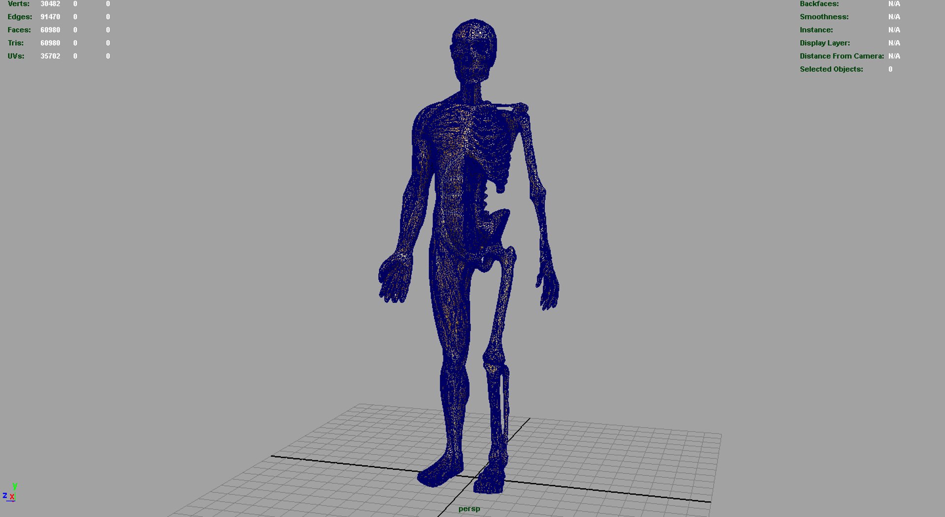 Hd Human Body Anatomy 3d Model