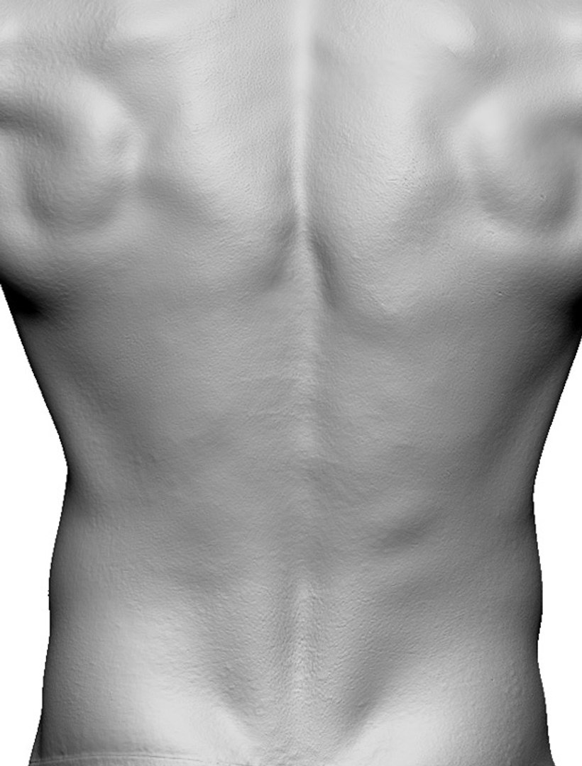 3d obj body scan athletic male