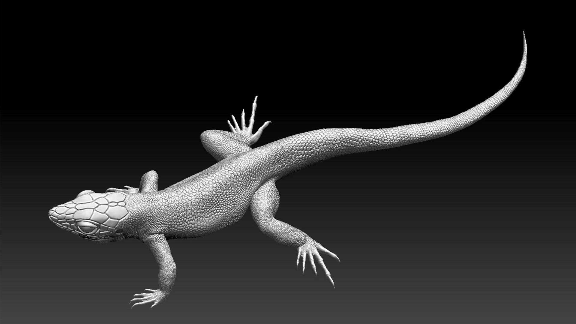 3D Model Lizard - TurboSquid 1900932