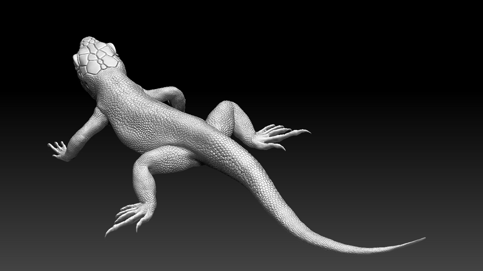 3D Model Lizard - TurboSquid 1900932