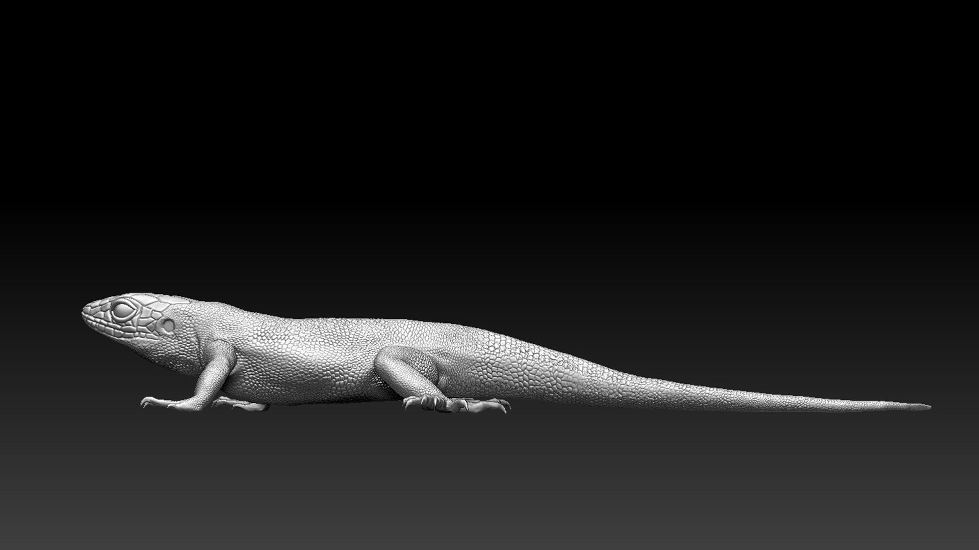 3D Model Lizard - TurboSquid 1900932