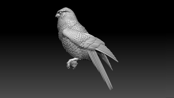 3D falcon - TurboSquid 1901442