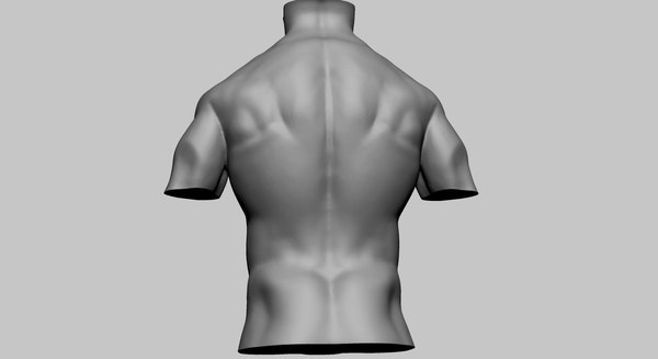 Male Torso A 3D model - TurboSquid 1892002