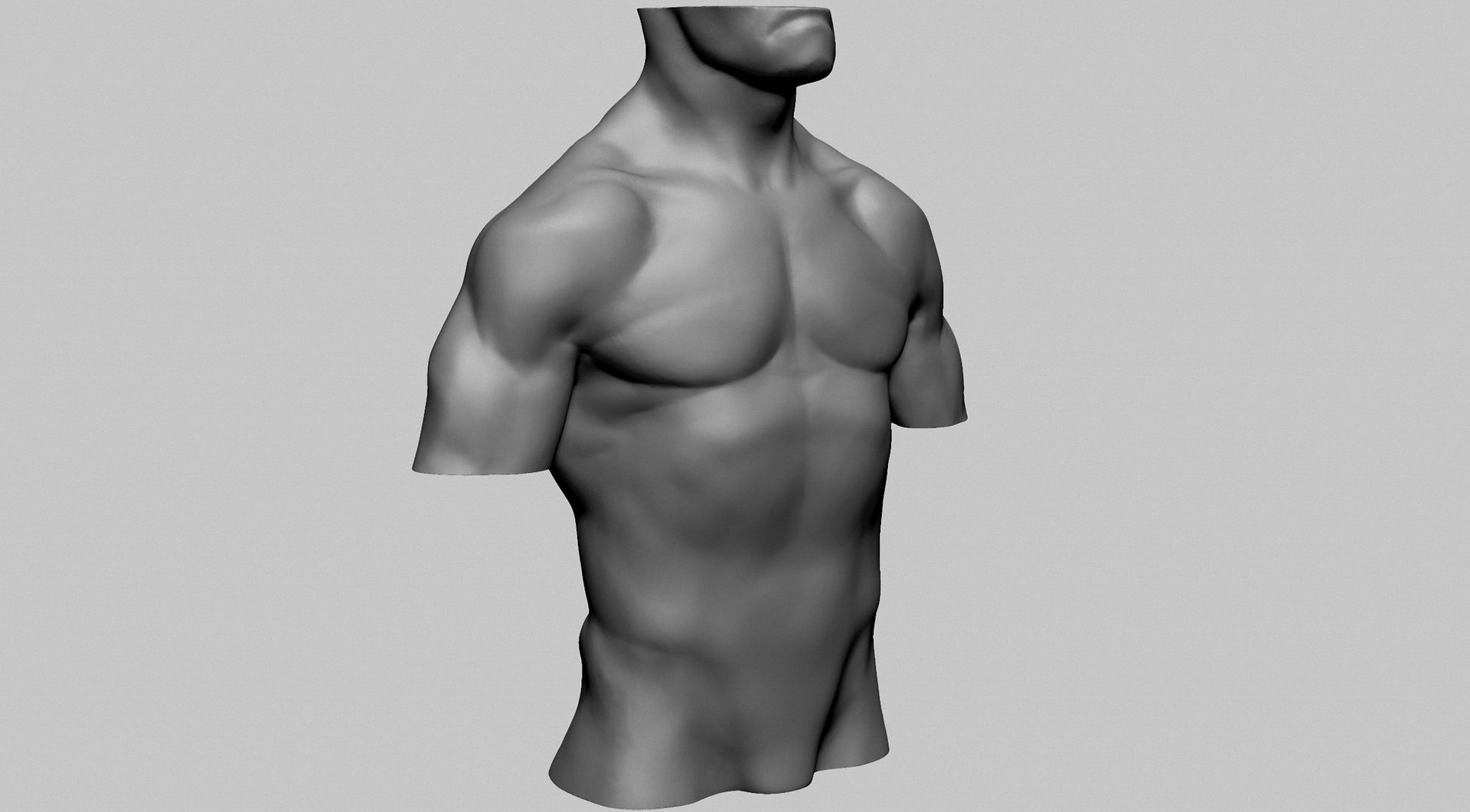 Male Torso A 3D Model - TurboSquid 1892002