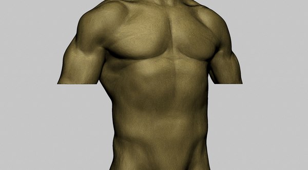 Male Torso A 3D model - TurboSquid 1892002