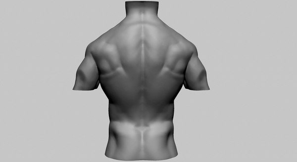 Male Torso A 3D model - TurboSquid 1892002