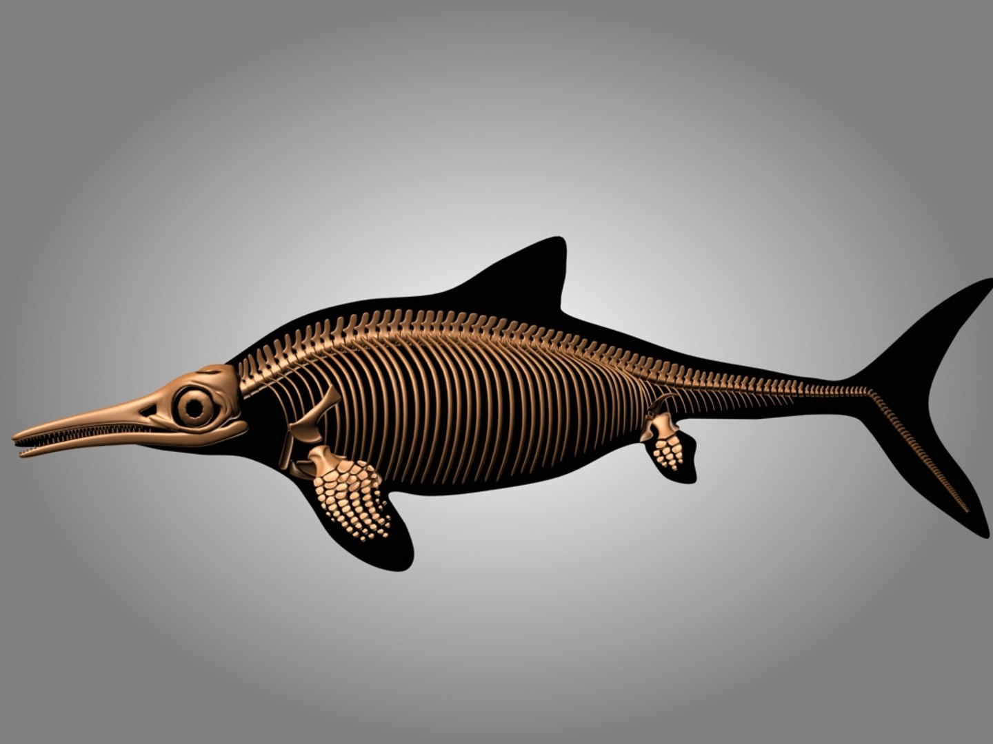 Ichthyosaurus Skeleton 3D - TurboSquid 1228832