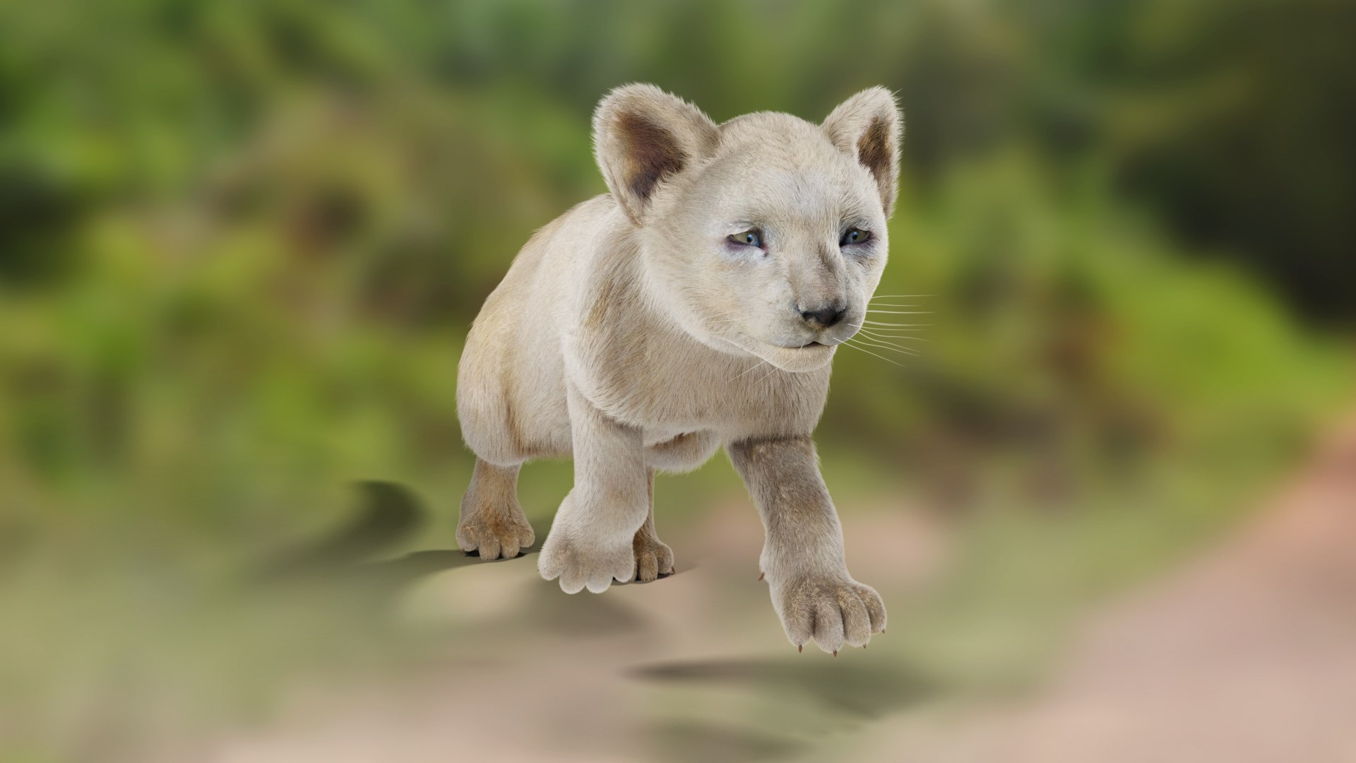 3D Fur White Lion Cub Rigged In Blender - TurboSquid 2033431