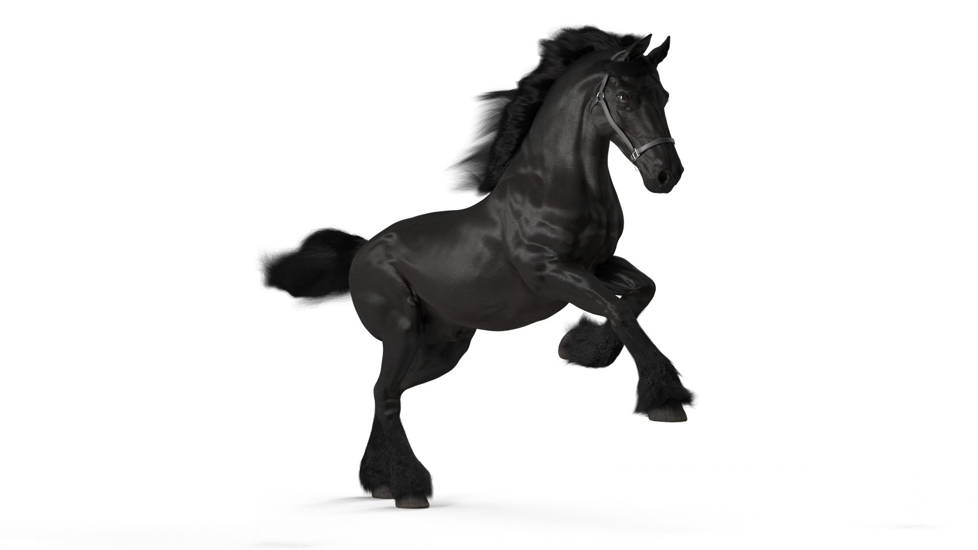Running Friesian Horse Fur 3D Model - TurboSquid 2180764