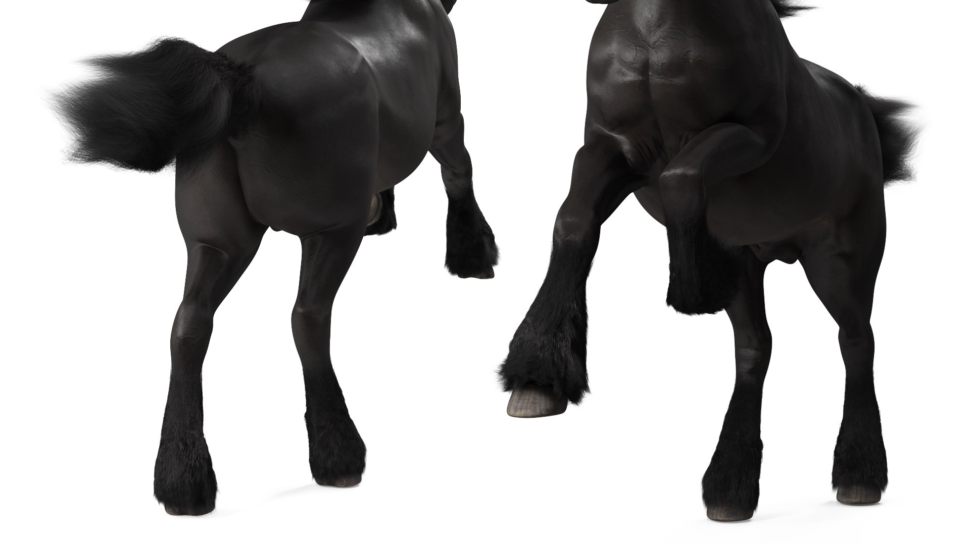 Running Friesian Horse Fur 3D Model - TurboSquid 2180764