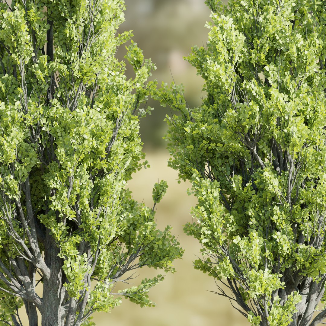 3D Poplar populus trees vol 116-Blender - TurboSquid 2141260
