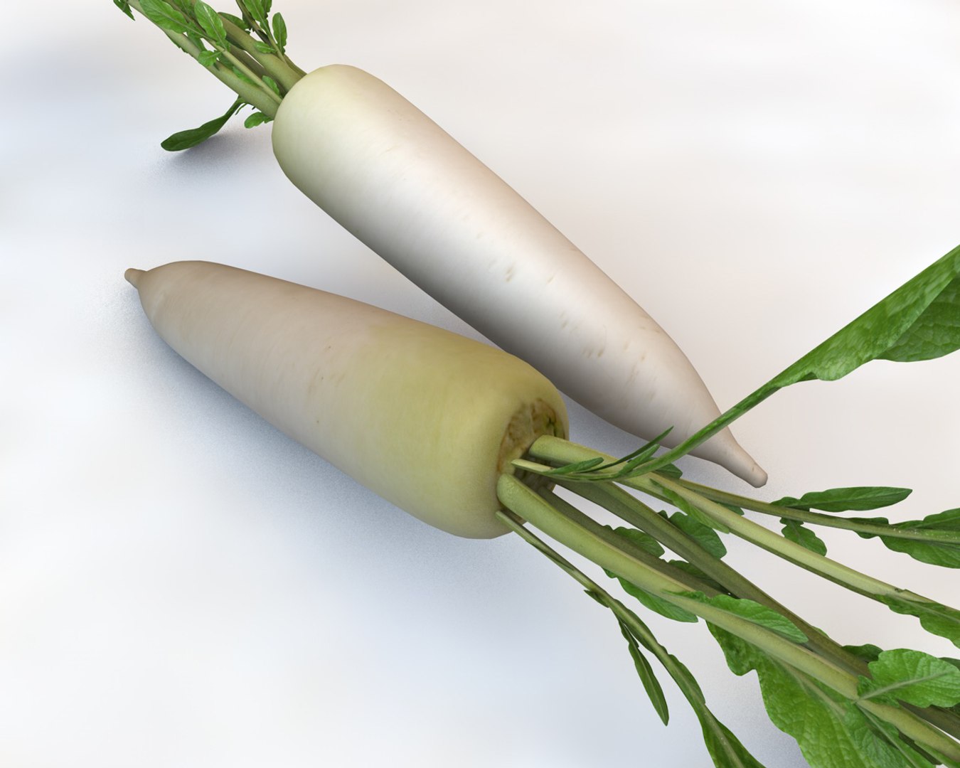 3D Radish Model - TurboSquid 1544505