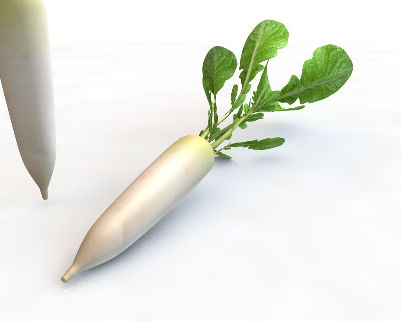 3D Radish Model - TurboSquid 1544505