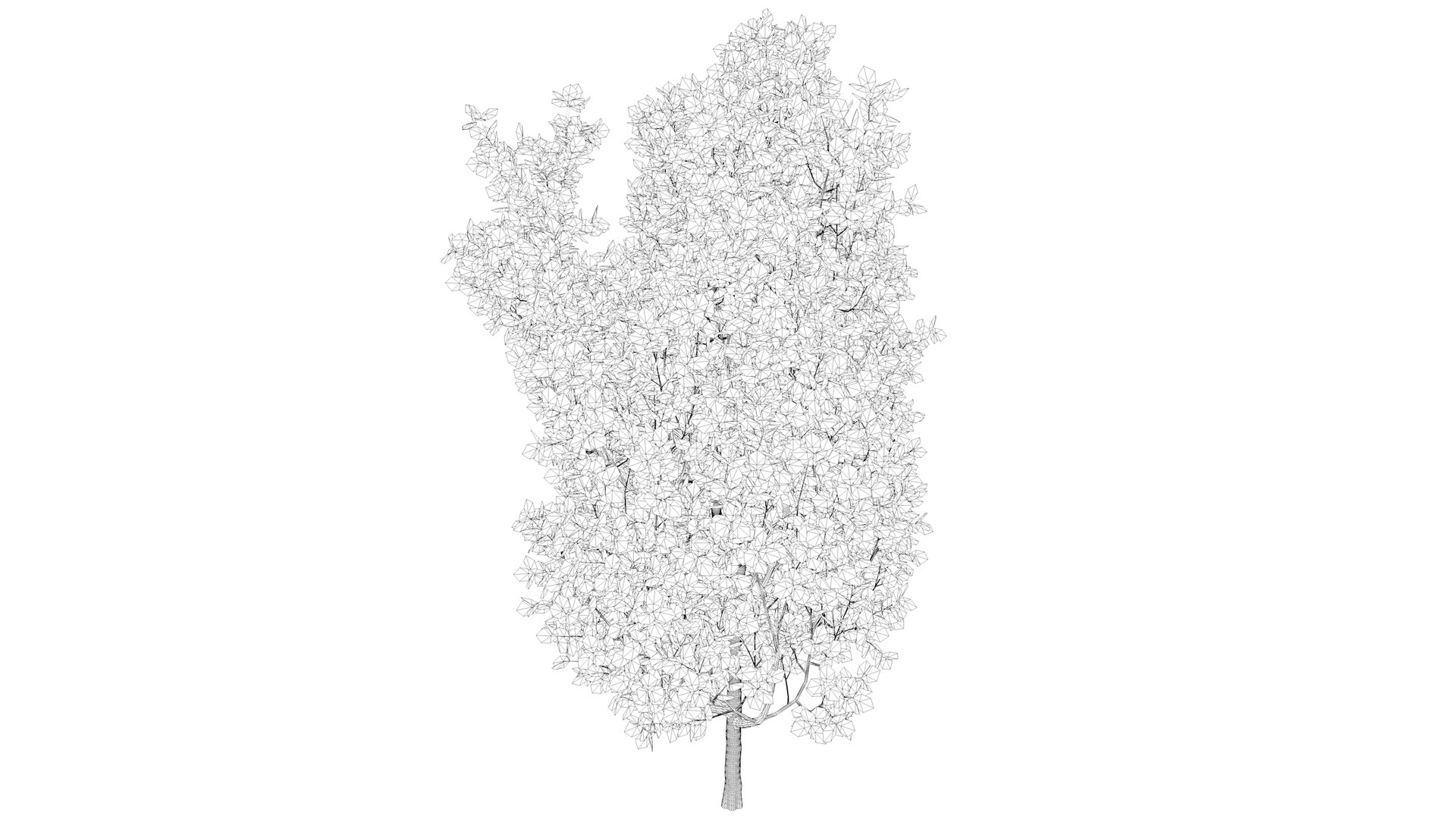 3D Cypress Oak Tree - 05 - Model - TurboSquid 2375797