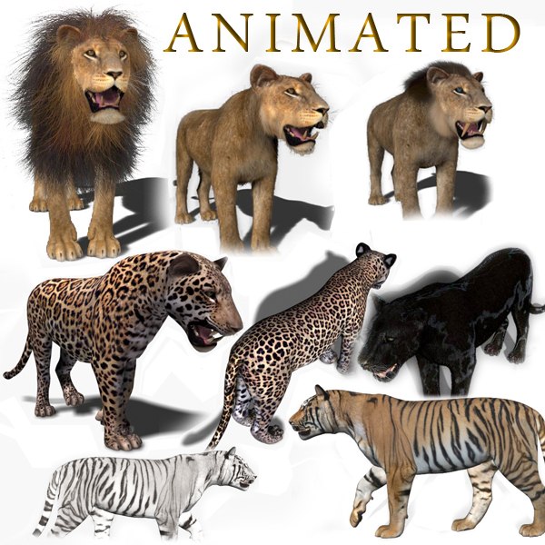 Free 3D Lion Models | TurboSquid
