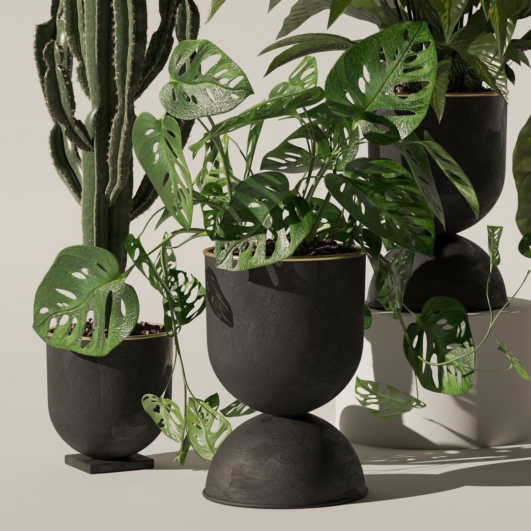 3D Plants Collection 140 Model - TurboSquid 1968328