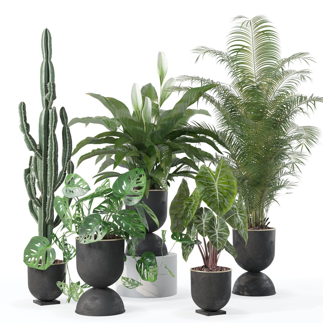 3D Plants Collection 140 Model - TurboSquid 1968328