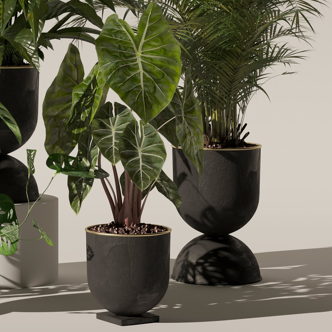 3D Plants Collection 140 Model - TurboSquid 1968328