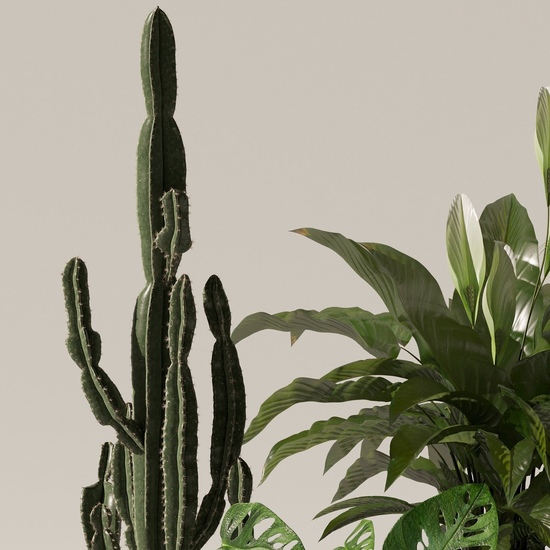 3D Plants Collection 140 Model - TurboSquid 1968328